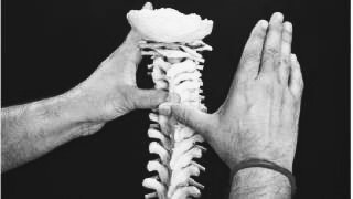 SNAG (Sustained Natural Apophyseal Glide) - PT Master Guide