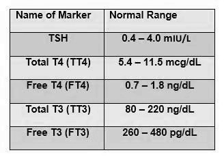 Normal Range Of Thyroid Function Test Pt Master Guide