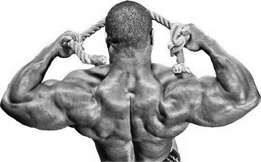 Posterior Deltoid Isolation Exercises - PT Master Guide