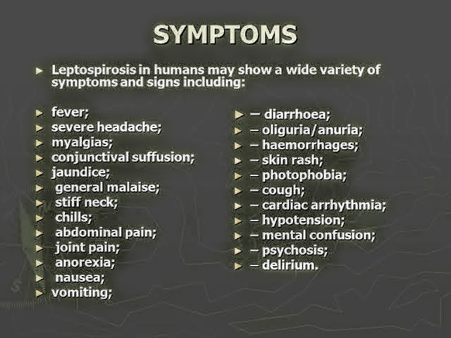 Sign and Symptoms of Leptospirosis - PT Master Guide